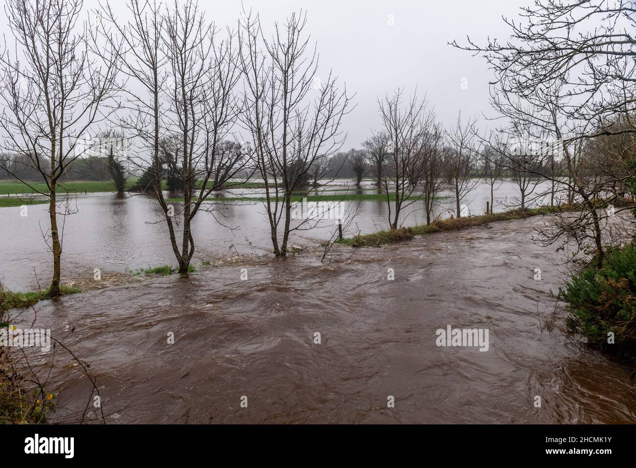Flooding in ireland 2021 hi-res stock photography and images - Alamy