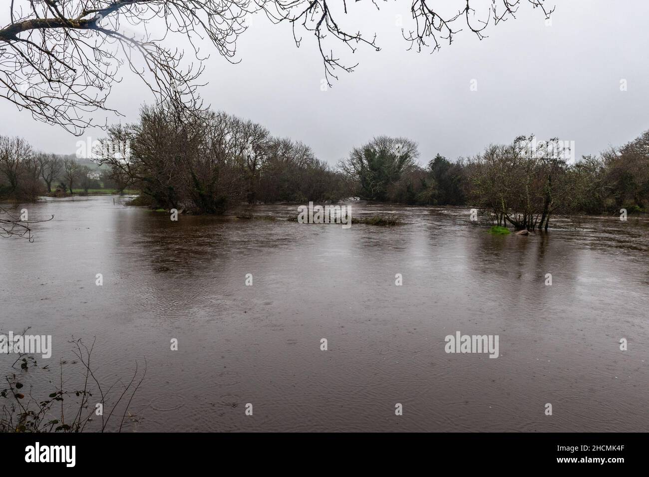 Flooding in ireland 2021 hi-res stock photography and images - Alamy