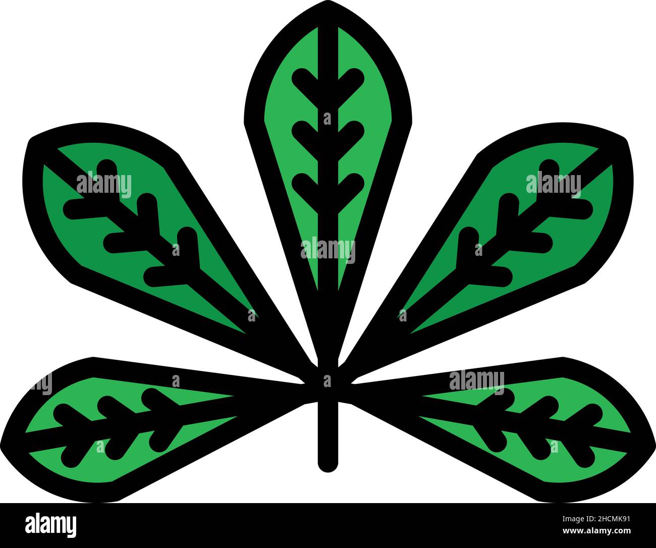 Nature chetnut leaf icon. Outline nature chetnut leaf vector icon color ...