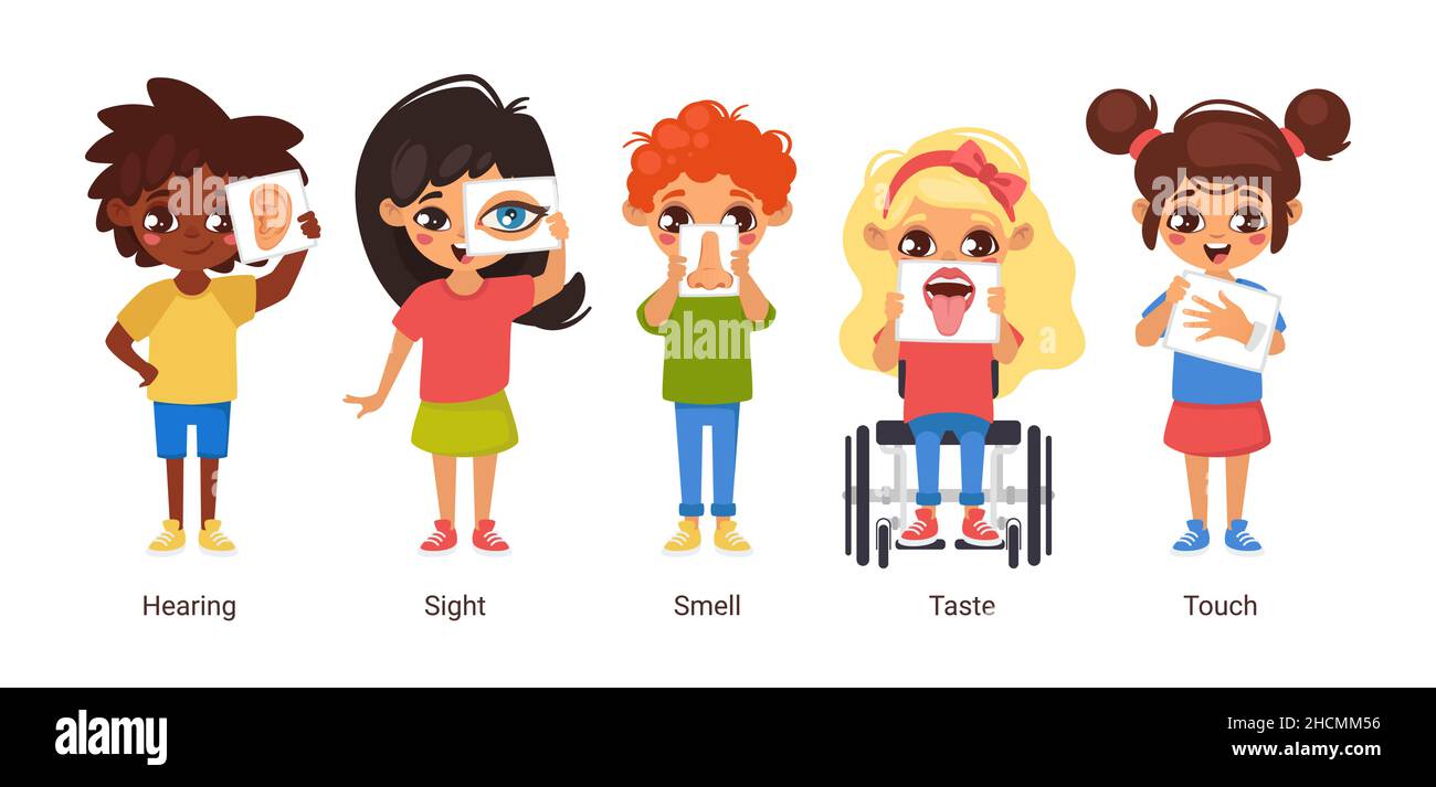 Vector cartoon style illustration of five senses Stock Vector Image ...