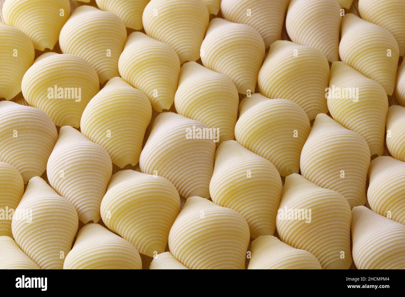 conchiglioni, italian jumbo shell pasta Stock Photo - Alamy