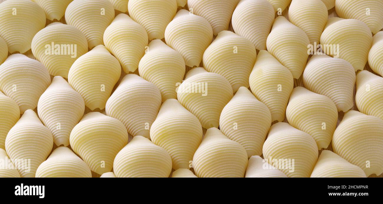 conchiglioni, italian jumbo shell pasta Stock Photo - Alamy