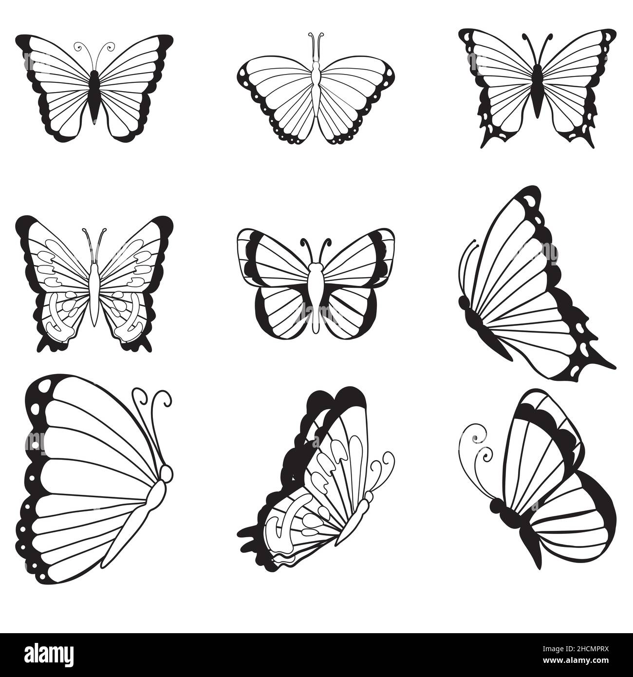 Summer flying insect insects Black and White Stock Photos & Images - Alamy