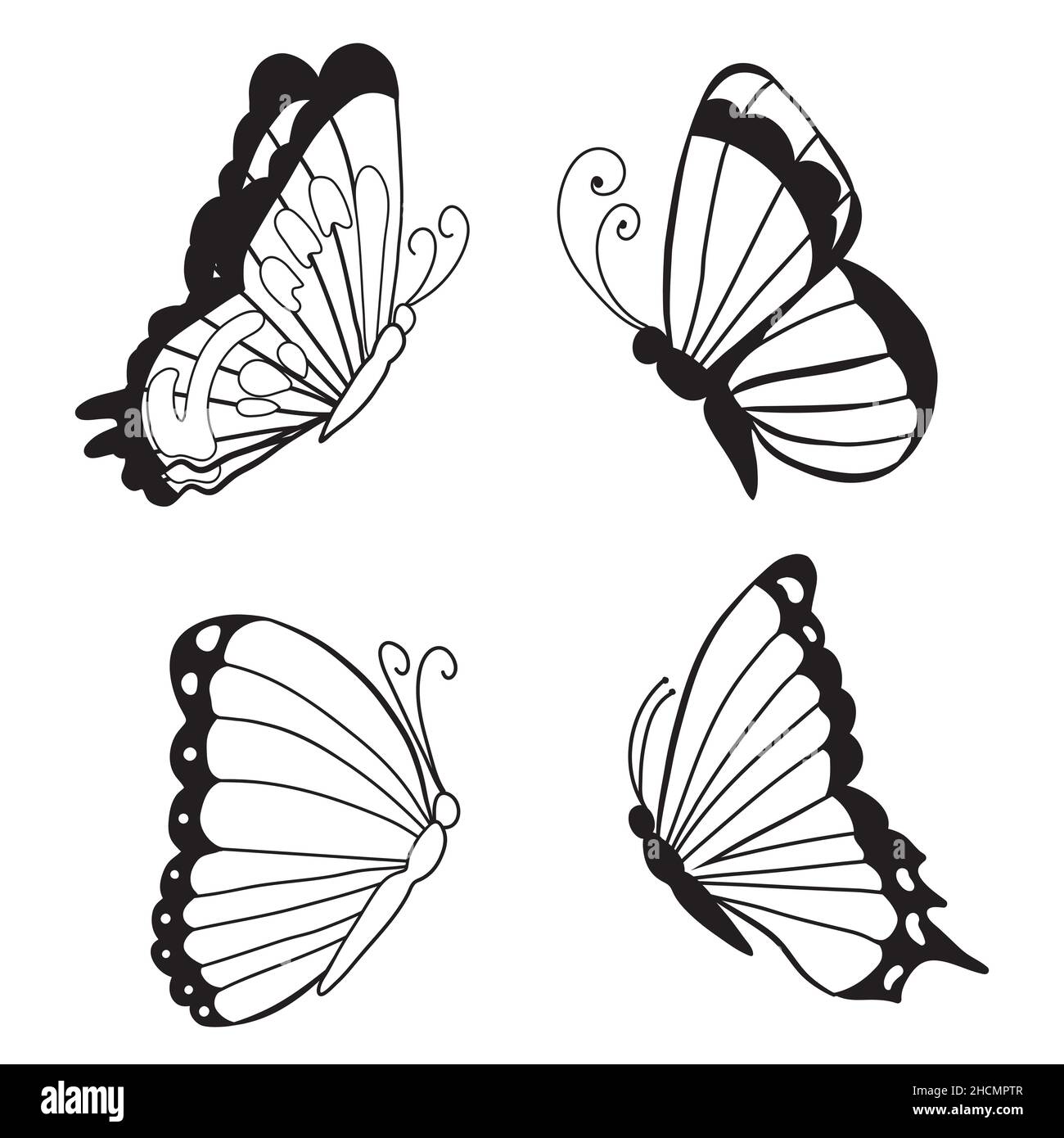 Hand drawn set of doodle insects. Monochrome image of flying and ...