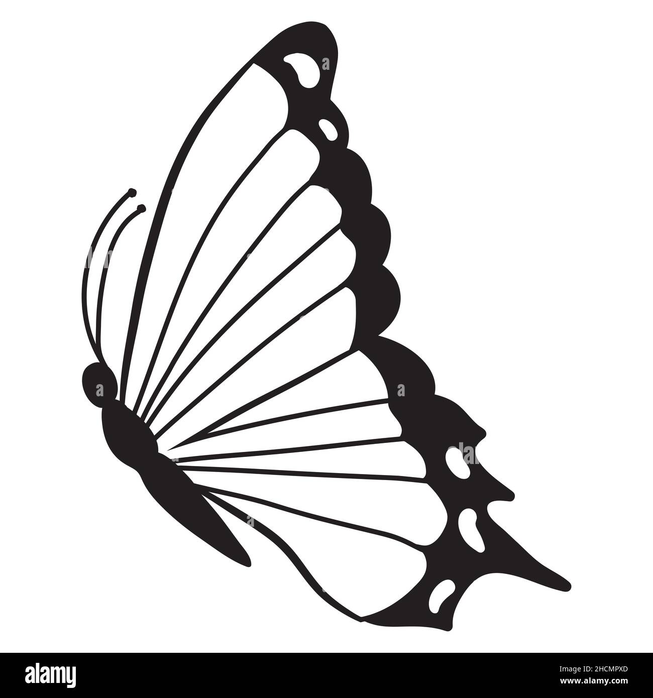 Ink Drawings Of Butterflies