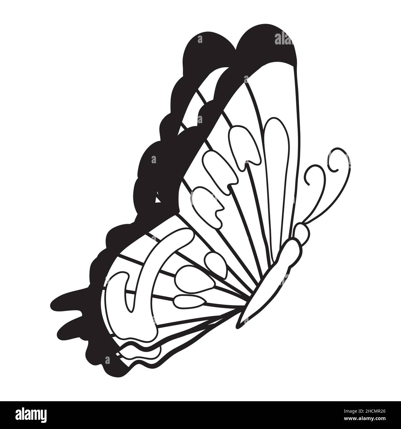 Butterfly Drawings In Pencil Side View