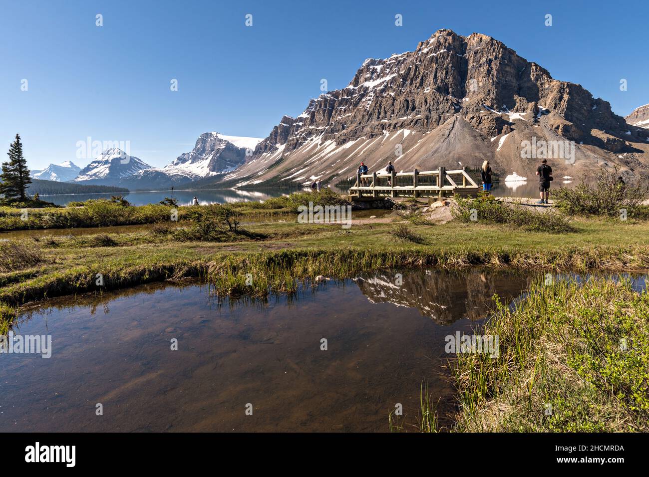 Tourists take photos of Crowfoot Mountain reflected by Bow Lake along ...
