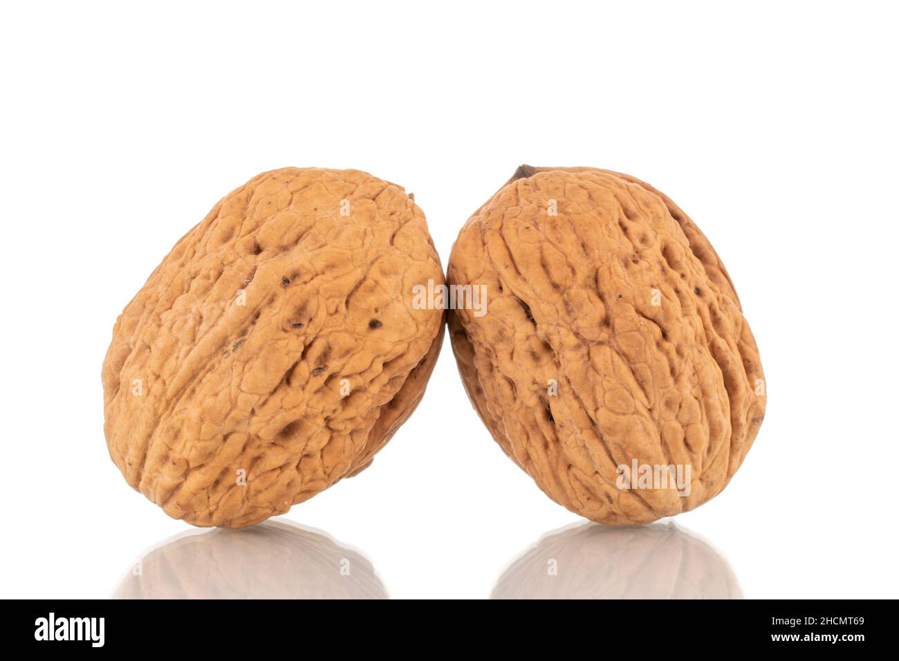 Two ripe walnuts, close-up, isolated on white Stock Photo - Alamy