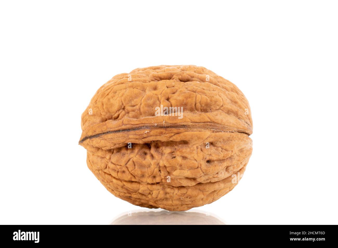 Walnut ripe hi-res stock photography and images - Alamy