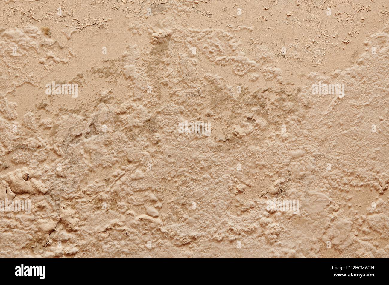 Excessive moisture causes mold and peeling paint walls, such as ...