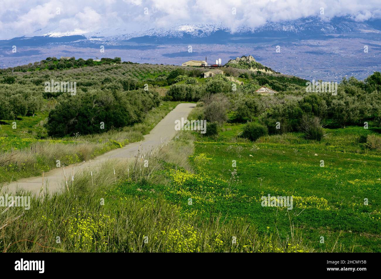 country road in a rural area of Sicily winter color of hill farming in ...