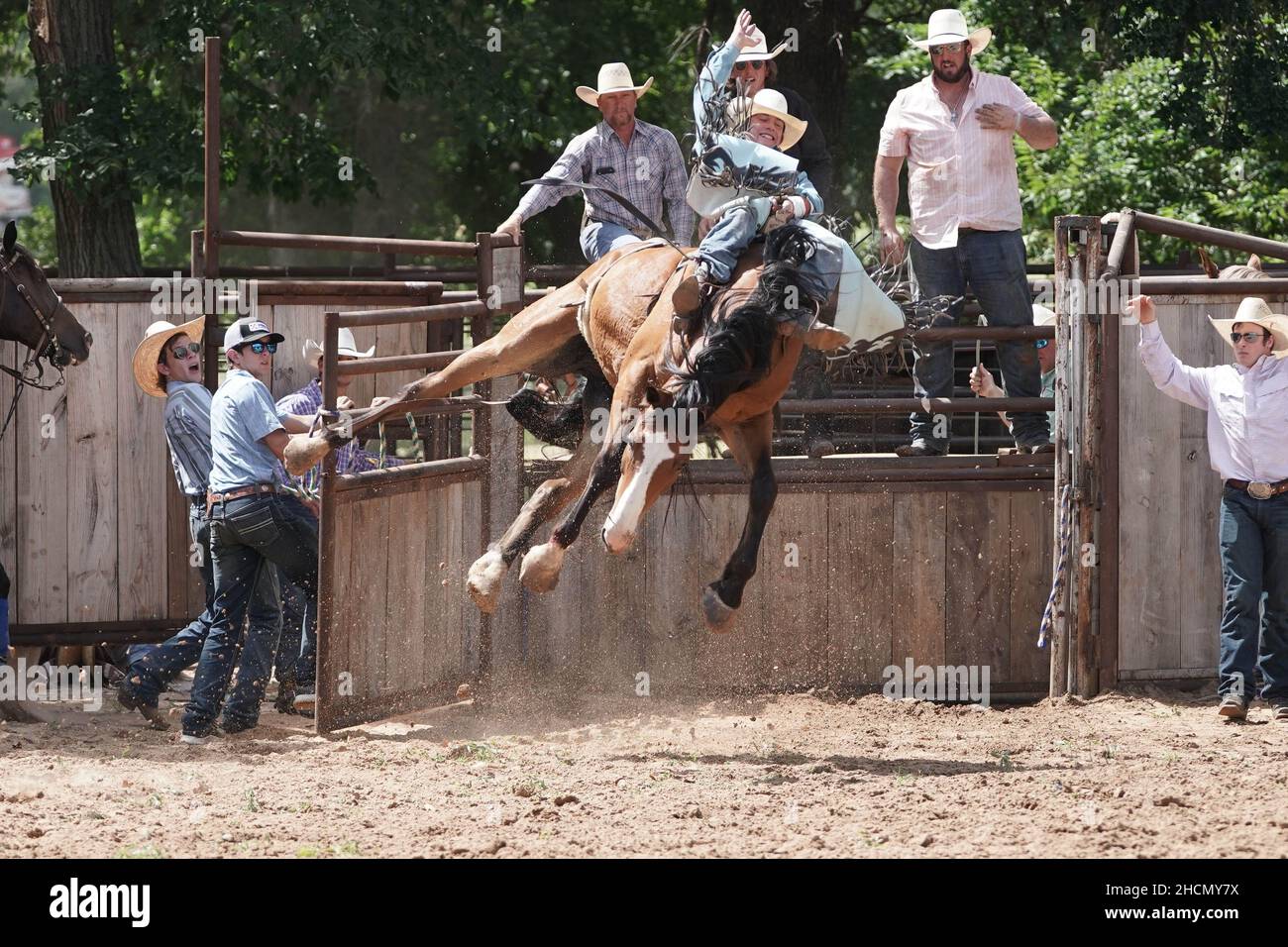 Bareback bronc riding hi-res stock photography and images - Alamy