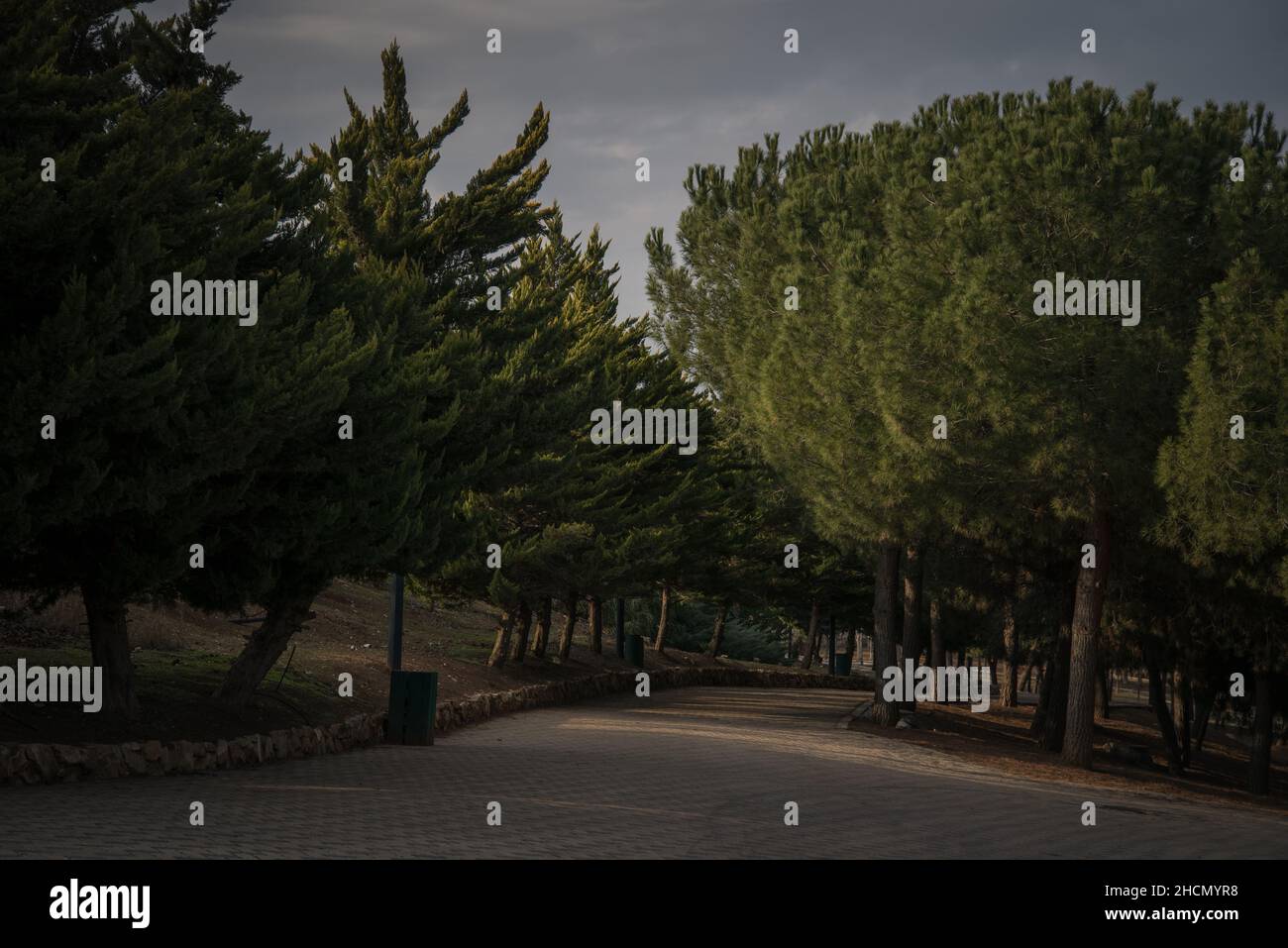 King Hussein Park, Amman, Jordan. - 29 December 2021: Street of a ...