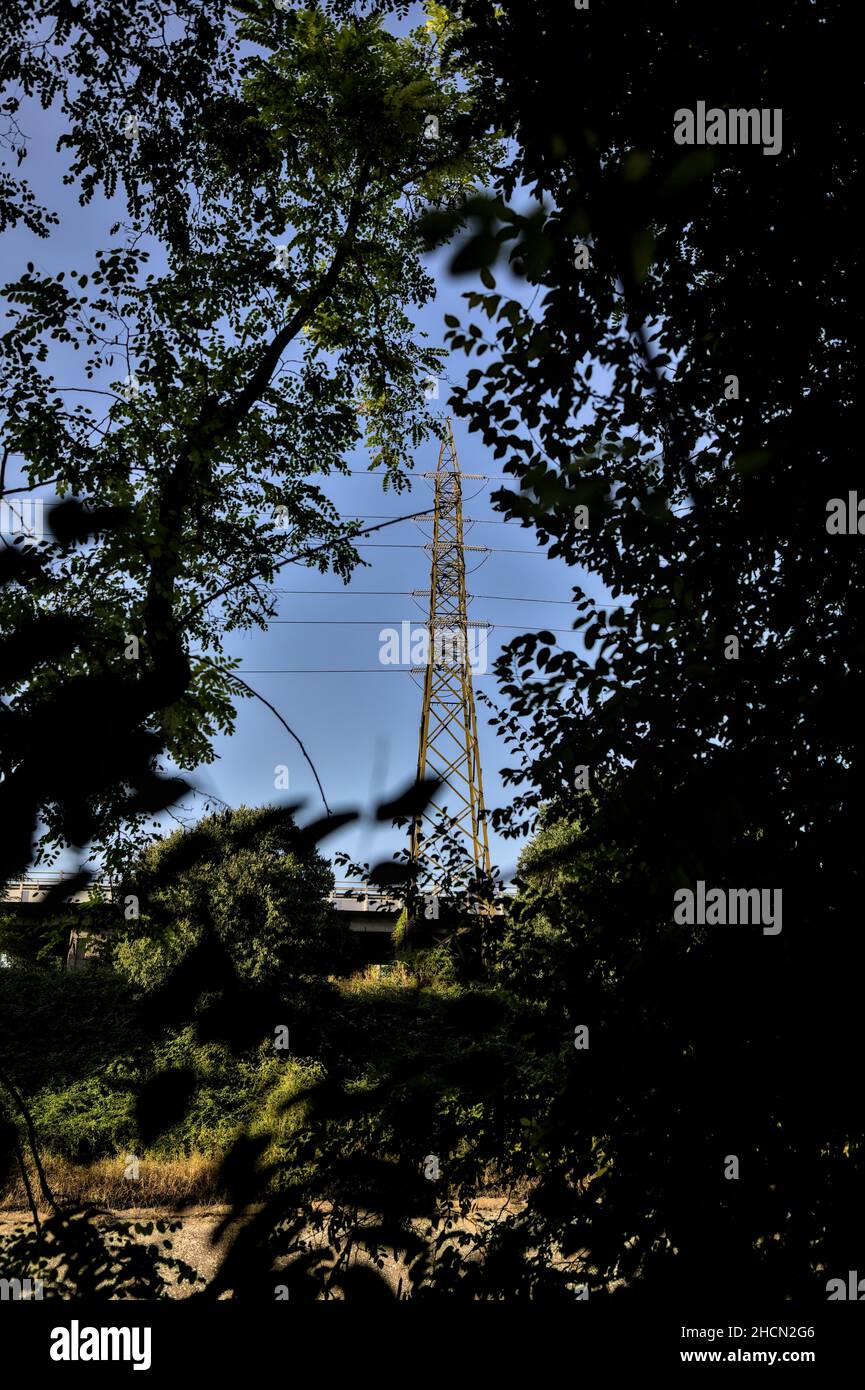 Electricity pylon framed by trees of a park at sunset Stock Photo - Alamy