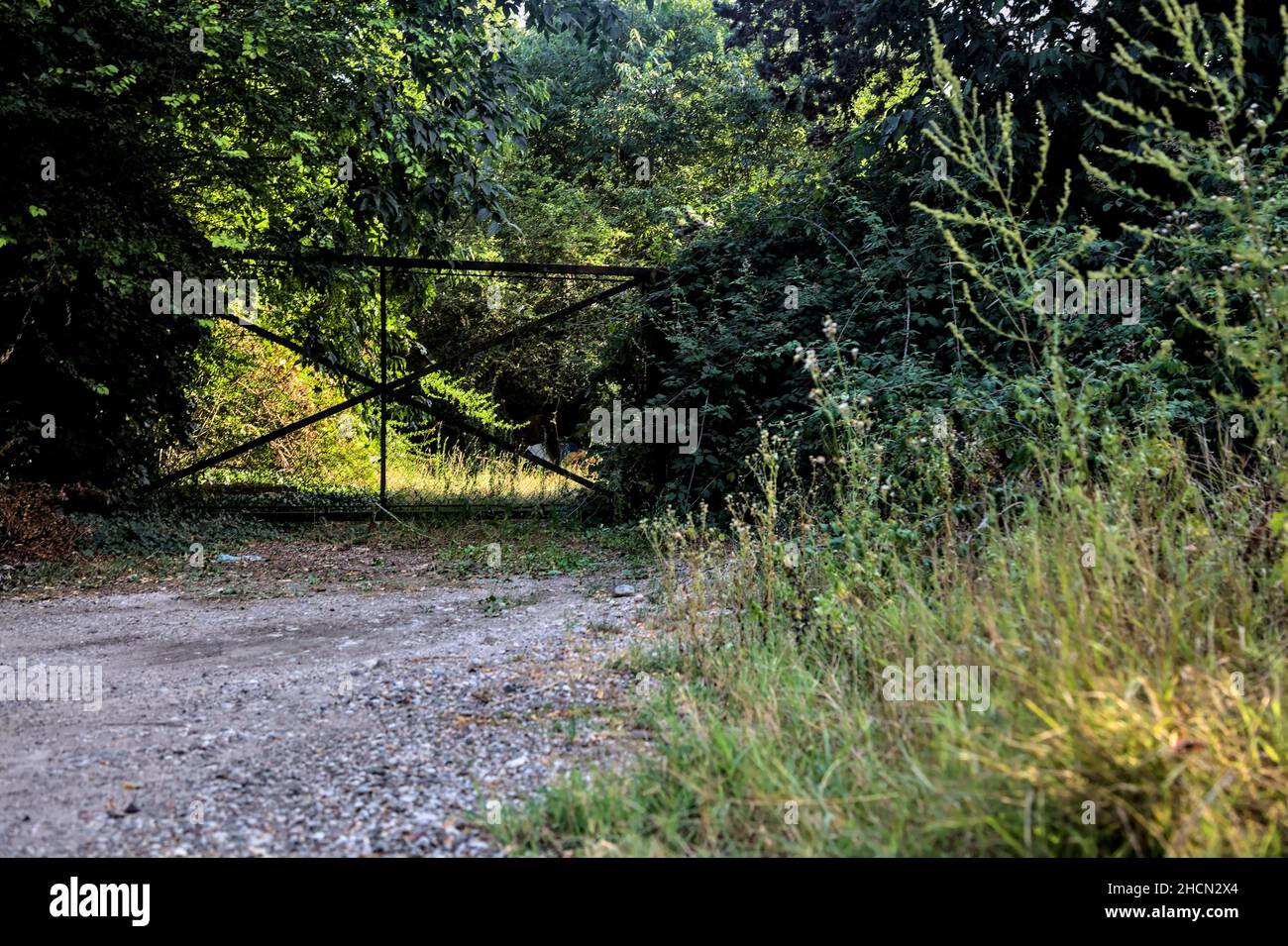 Gate blocking a dirt path in a grove at sunset Stock Photo - Alamy
