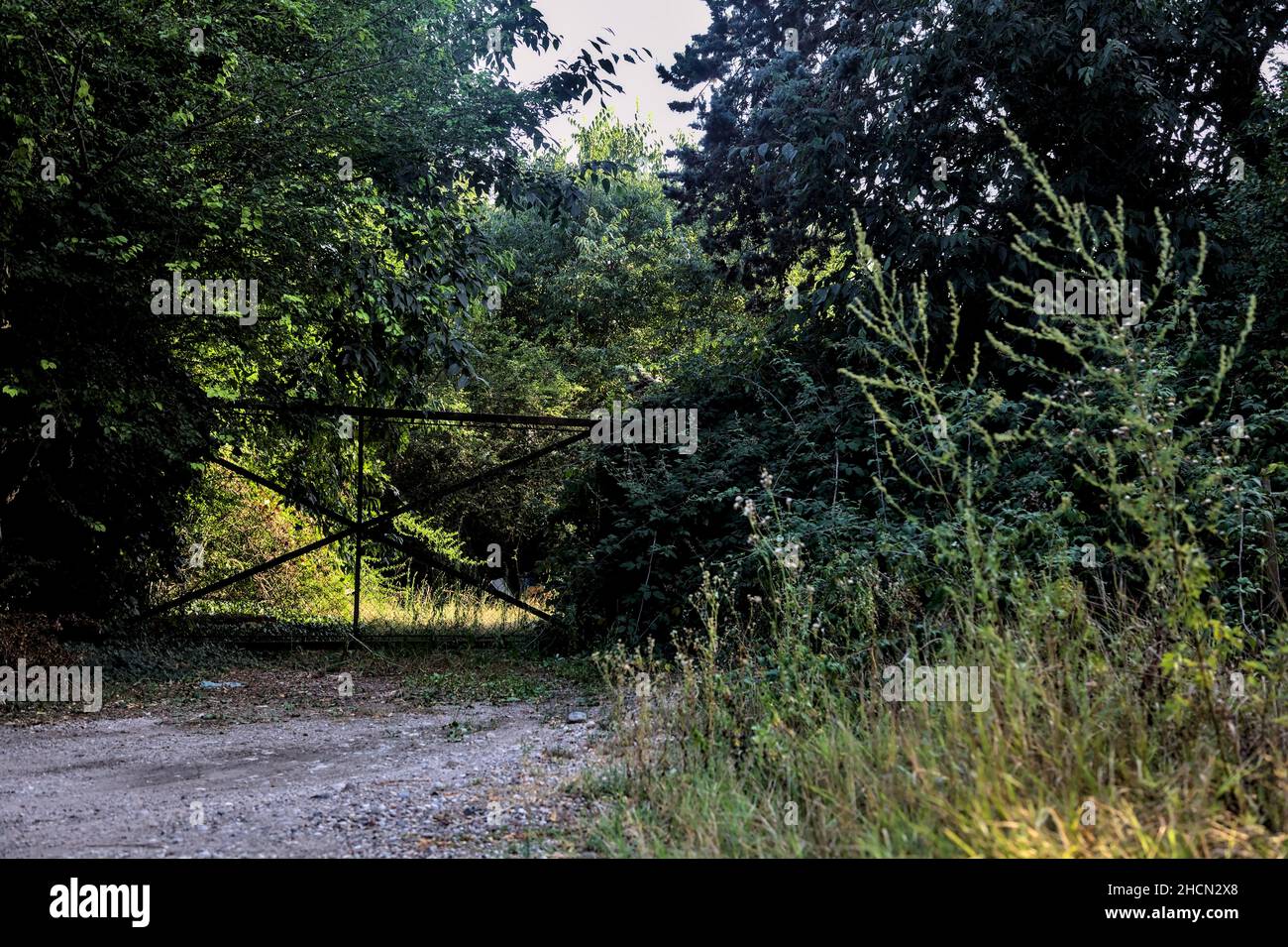 Gate blocking a dirt path in a grove at sunset Stock Photo - Alamy