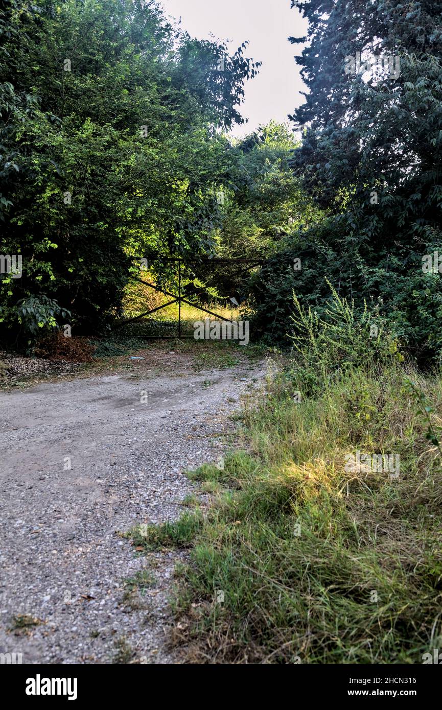 Gate blocking a dirt path in a grove at sunset Stock Photo - Alamy