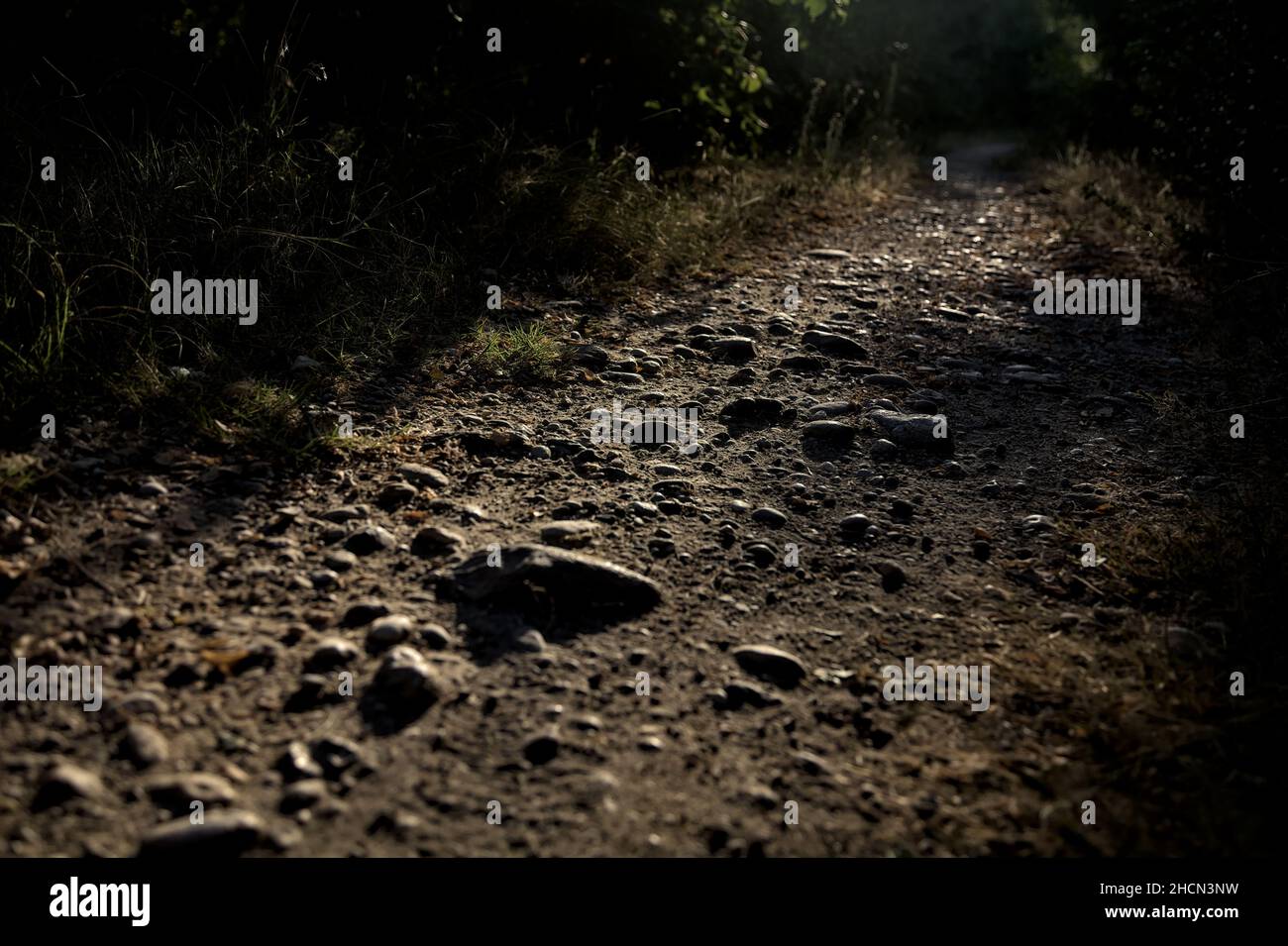 Pebbles on path sunset hi-res stock photography and images - Alamy