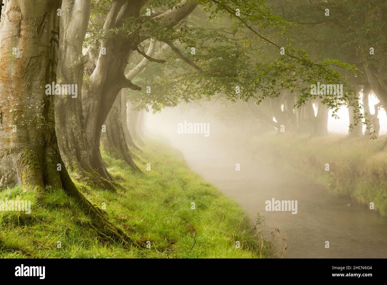 Templepatrick hi-res stock photography and images - Alamy