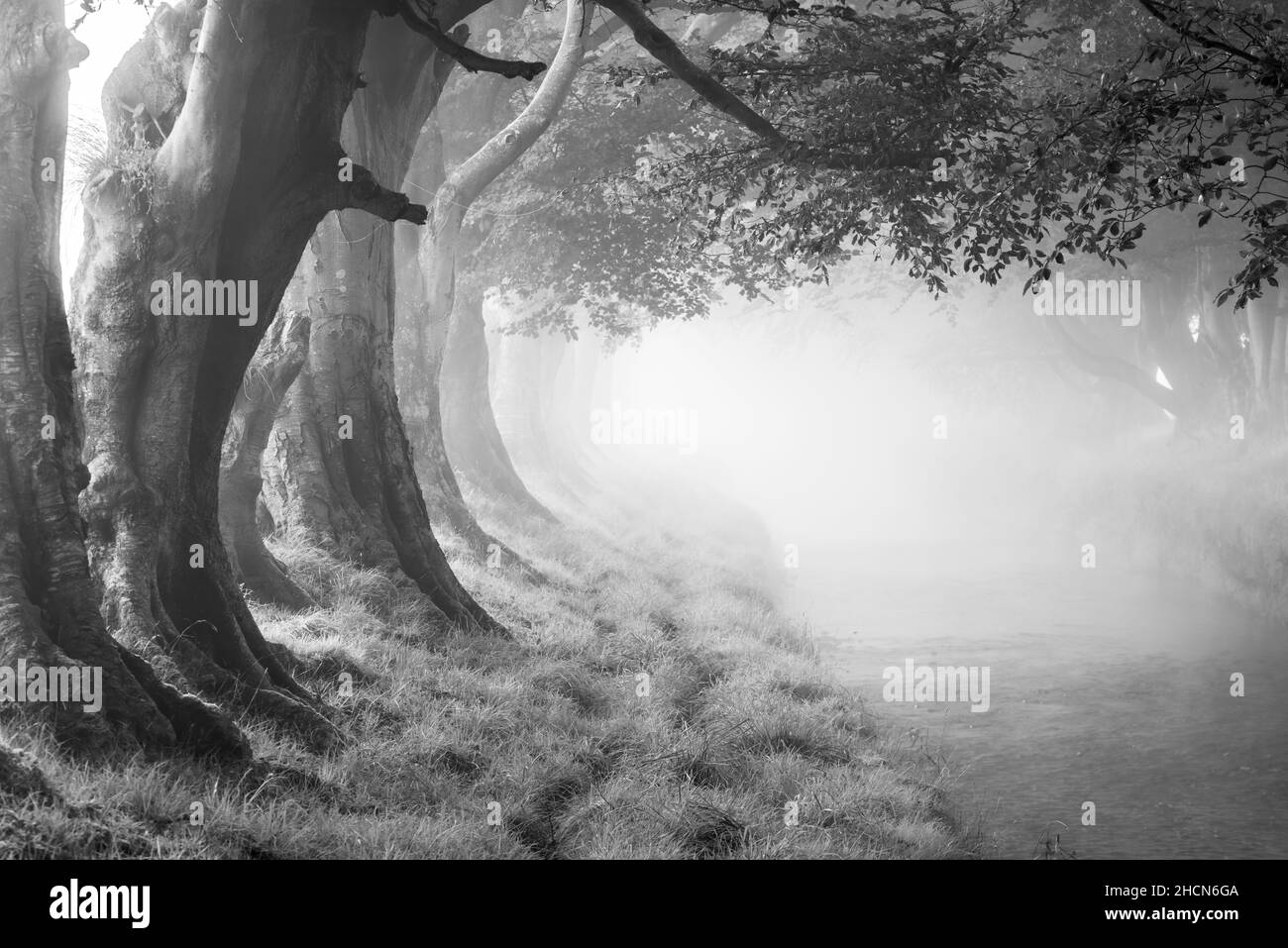 Templepatrick hi-res stock photography and images - Alamy