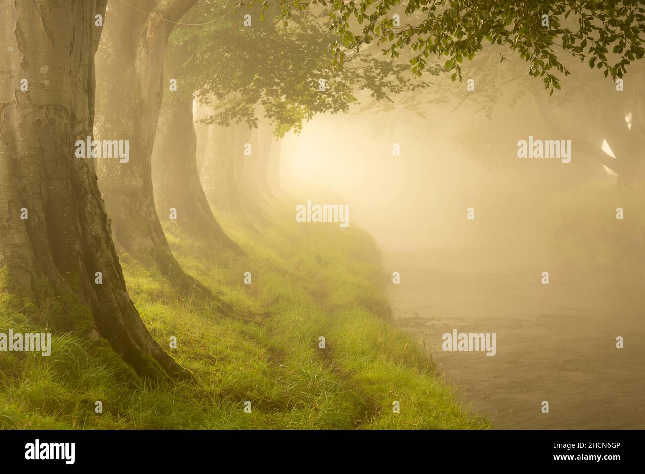 Templepatrick hi-res stock photography and images - Alamy