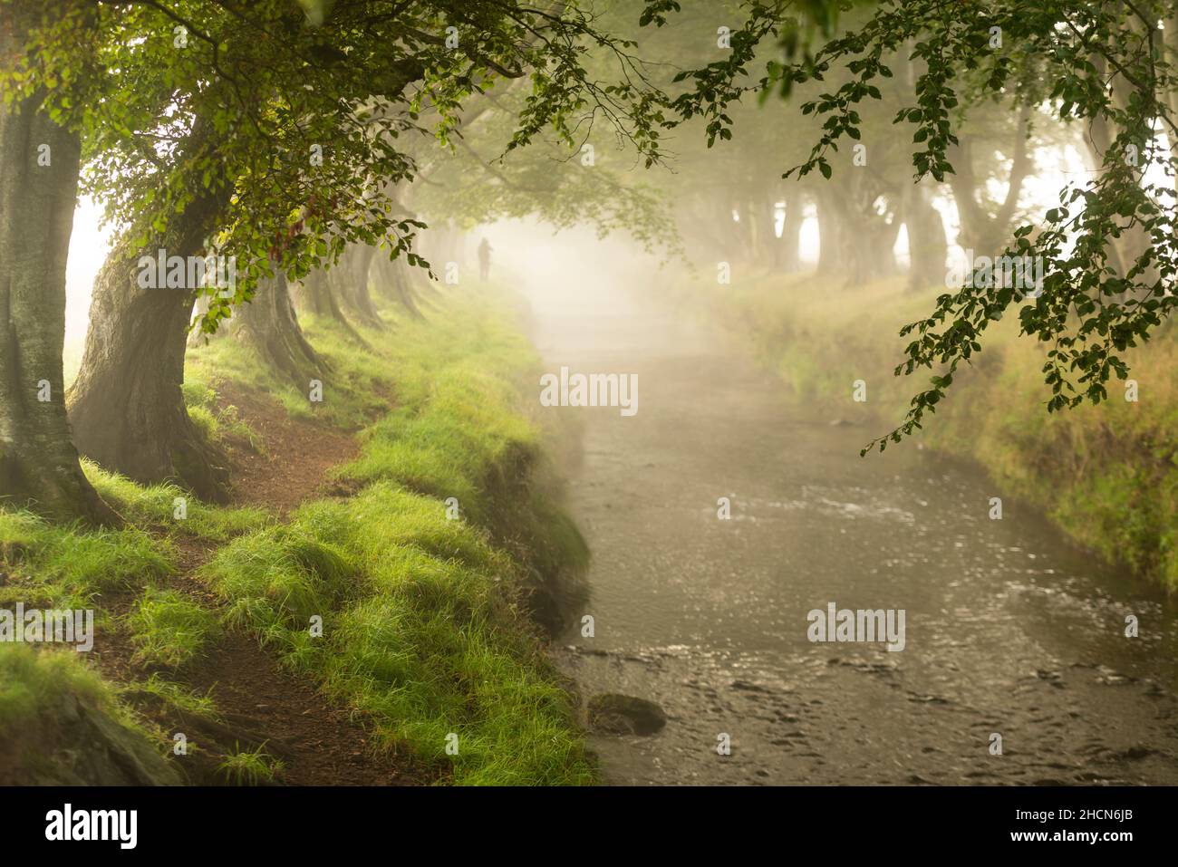 Templepatrick hi-res stock photography and images - Alamy