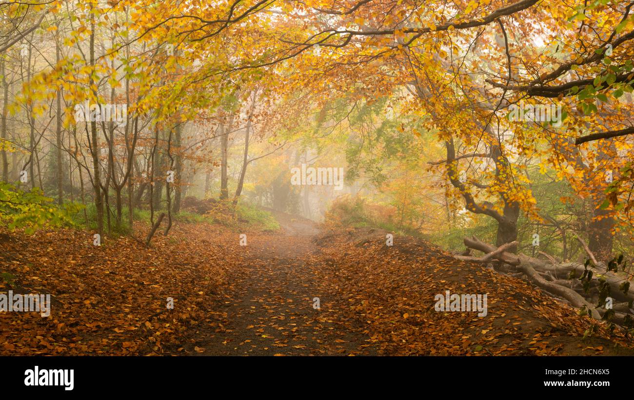 Redburn Country Park Stock Photo - Alamy