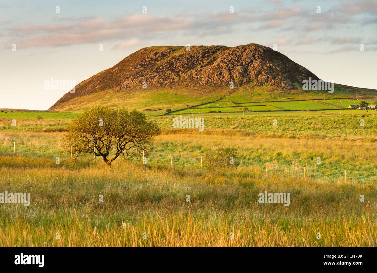 Slemish mountain county antrim hi-res stock photography and images - Alamy