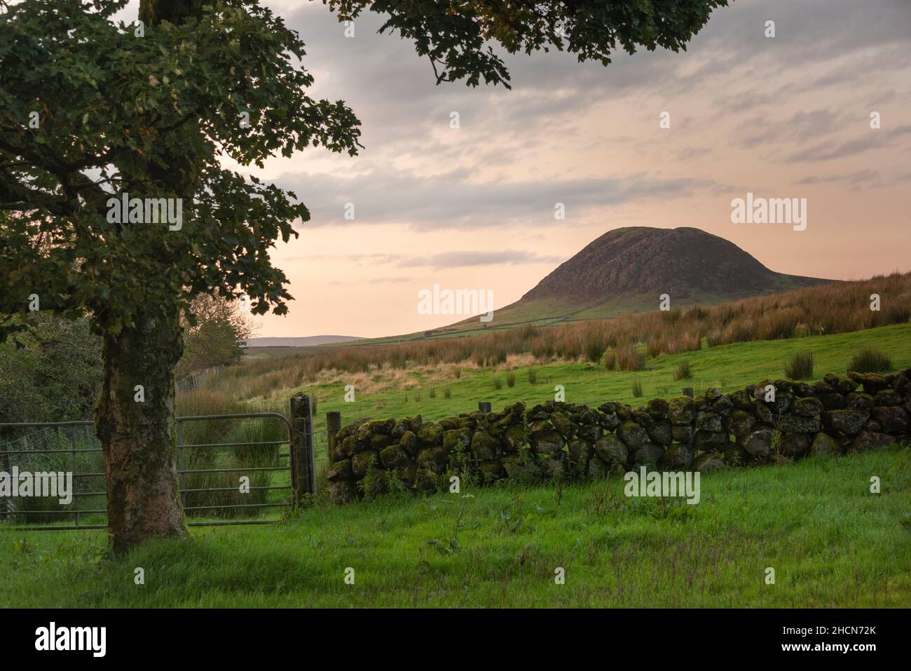 Slemish mountain county antrim hi-res stock photography and images - Alamy