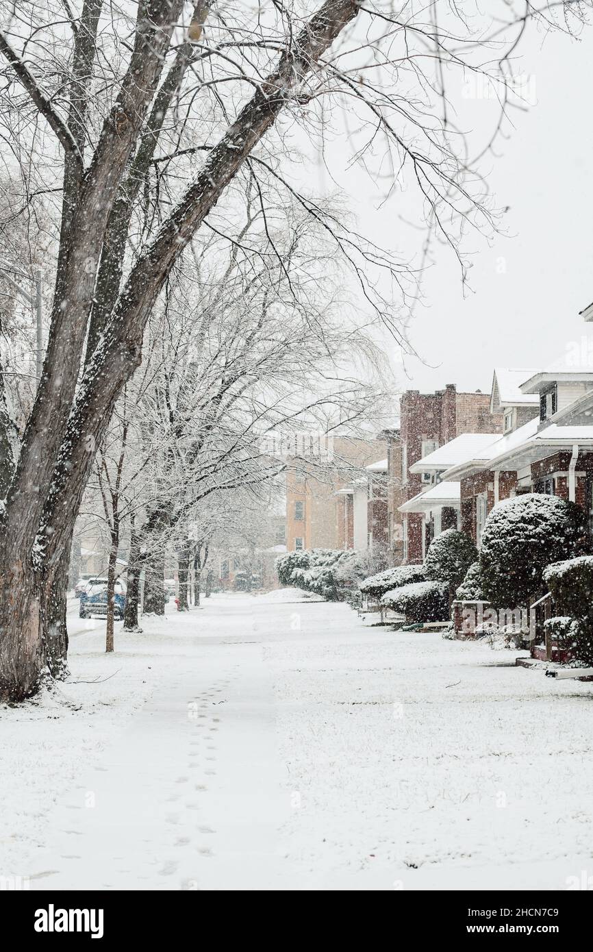 Snowy Neighborhood Street in Chicago During Blizzard Stock Photo - Alamy