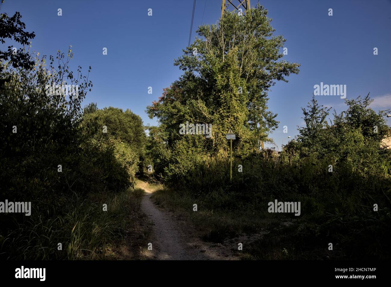Rural path shaded by trees hi-res stock photography and images - Alamy