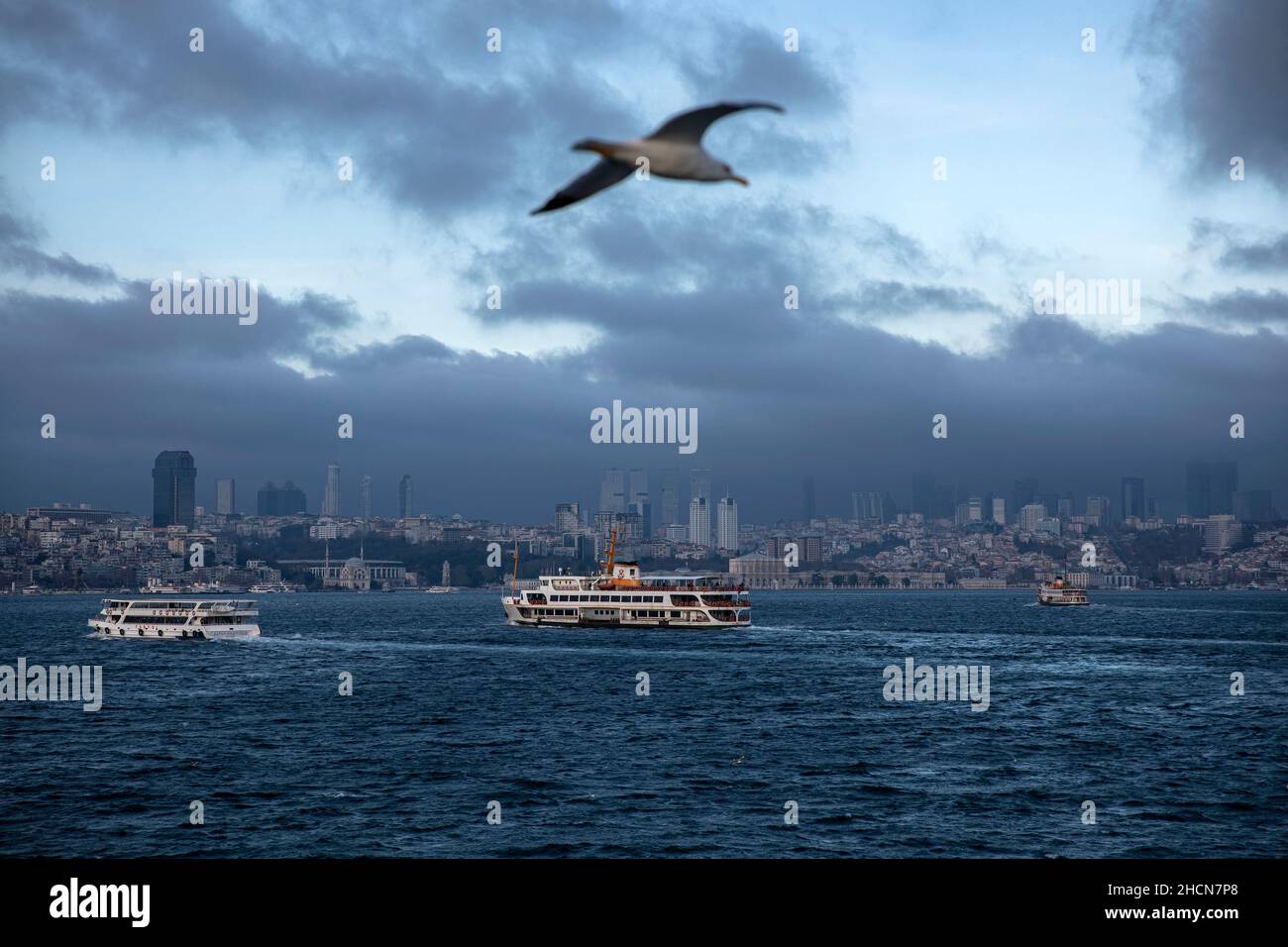 Istanbul, Turkey. 30th Dec, 2021. A seagull seen flying in the sky with ...