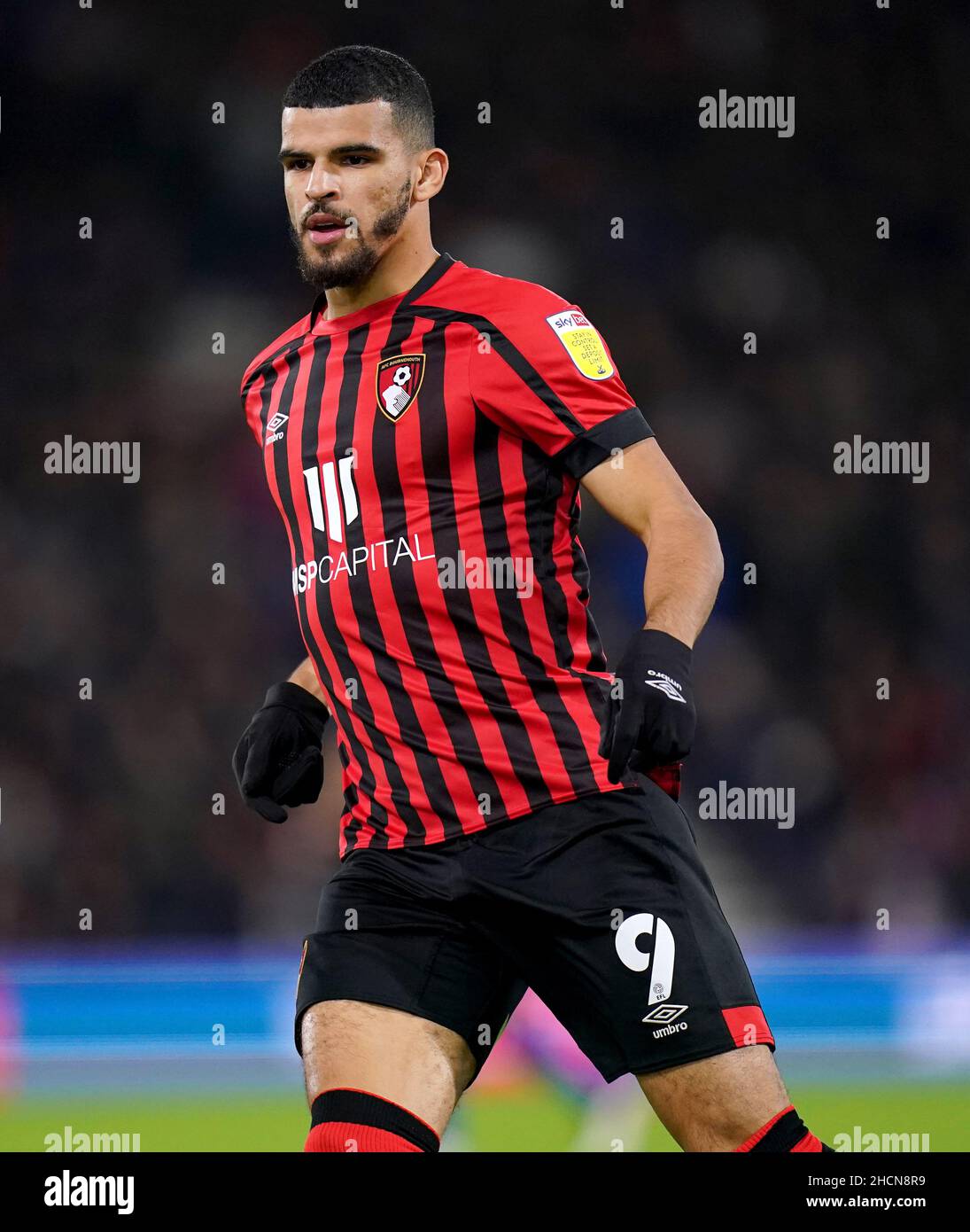 Dominic Solanke