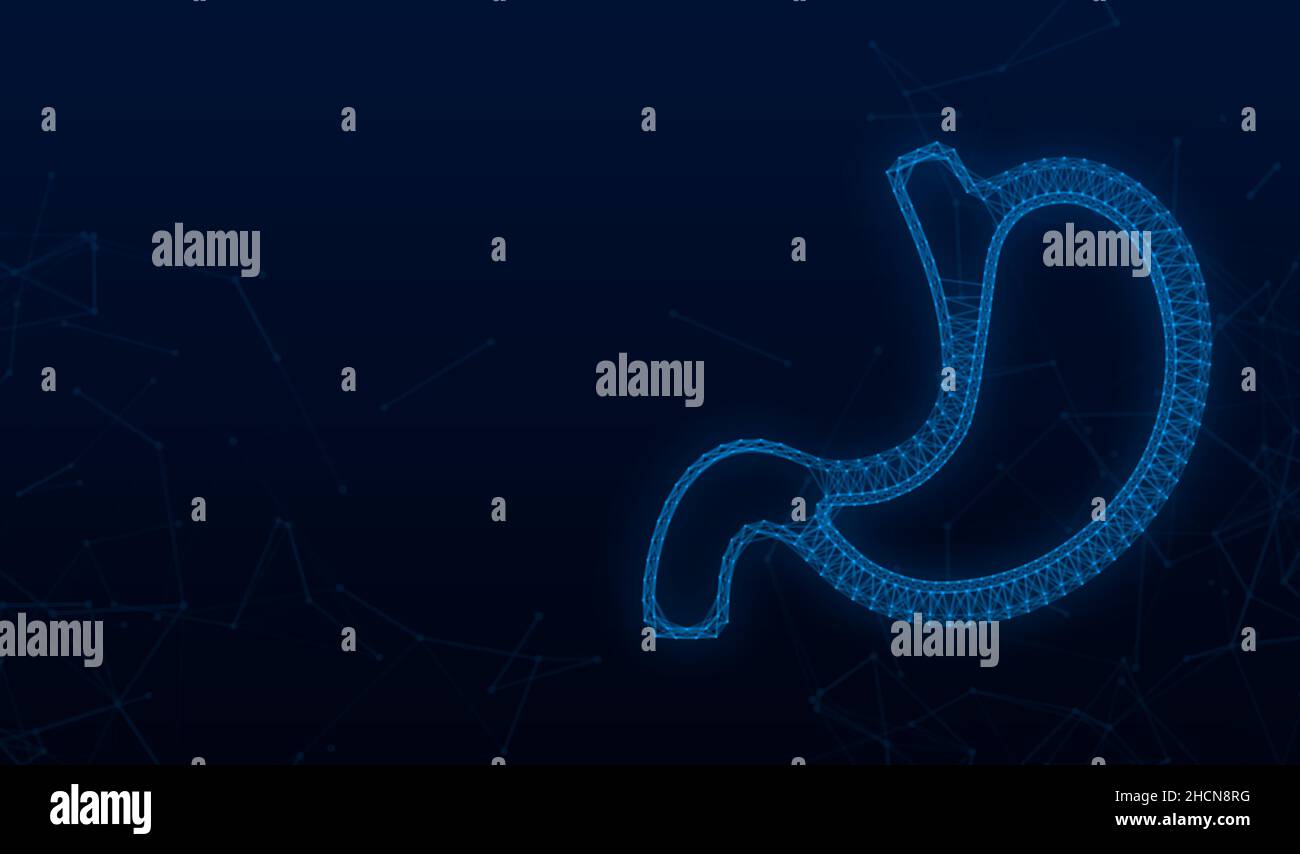 Stomach endoscopy. Endoscope in stomach through esophagus. Vector stock ...