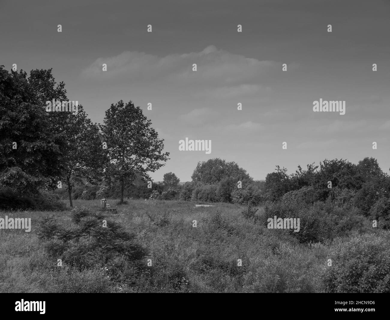 the dutch city of Doesburg Stock Photo - Alamy