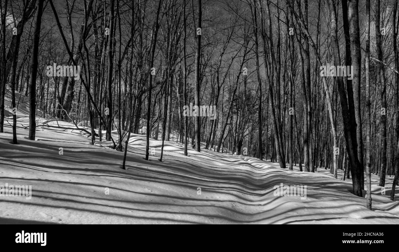 Shadows on Snow Stock Photo - Alamy