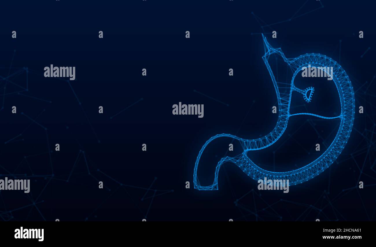 Stomach endoscopy. Endoscope in stomach through esophagus. Vector stock ...