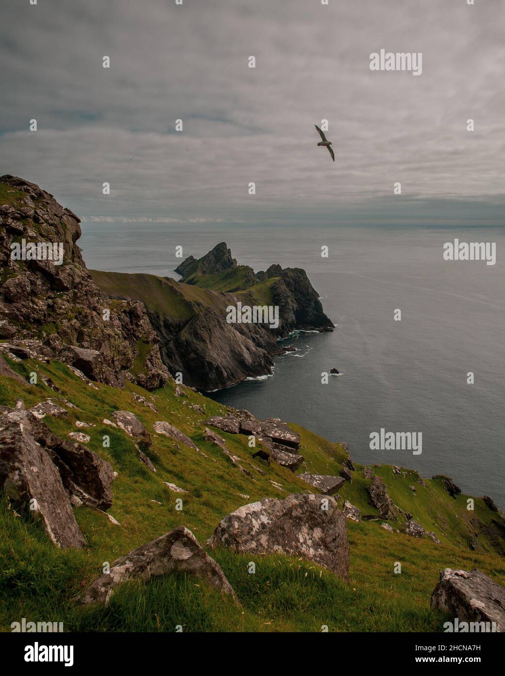 St kilda islands hi-res stock photography and images - Alamy