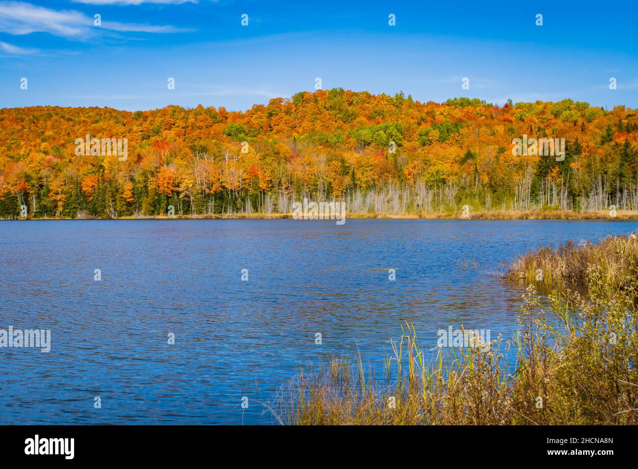 Crystal lake hi-res stock photography and images - Alamy