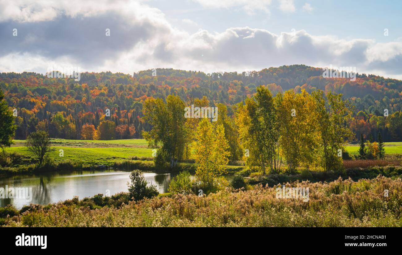 autumn morning at a country pond Stock Photo - Alamy