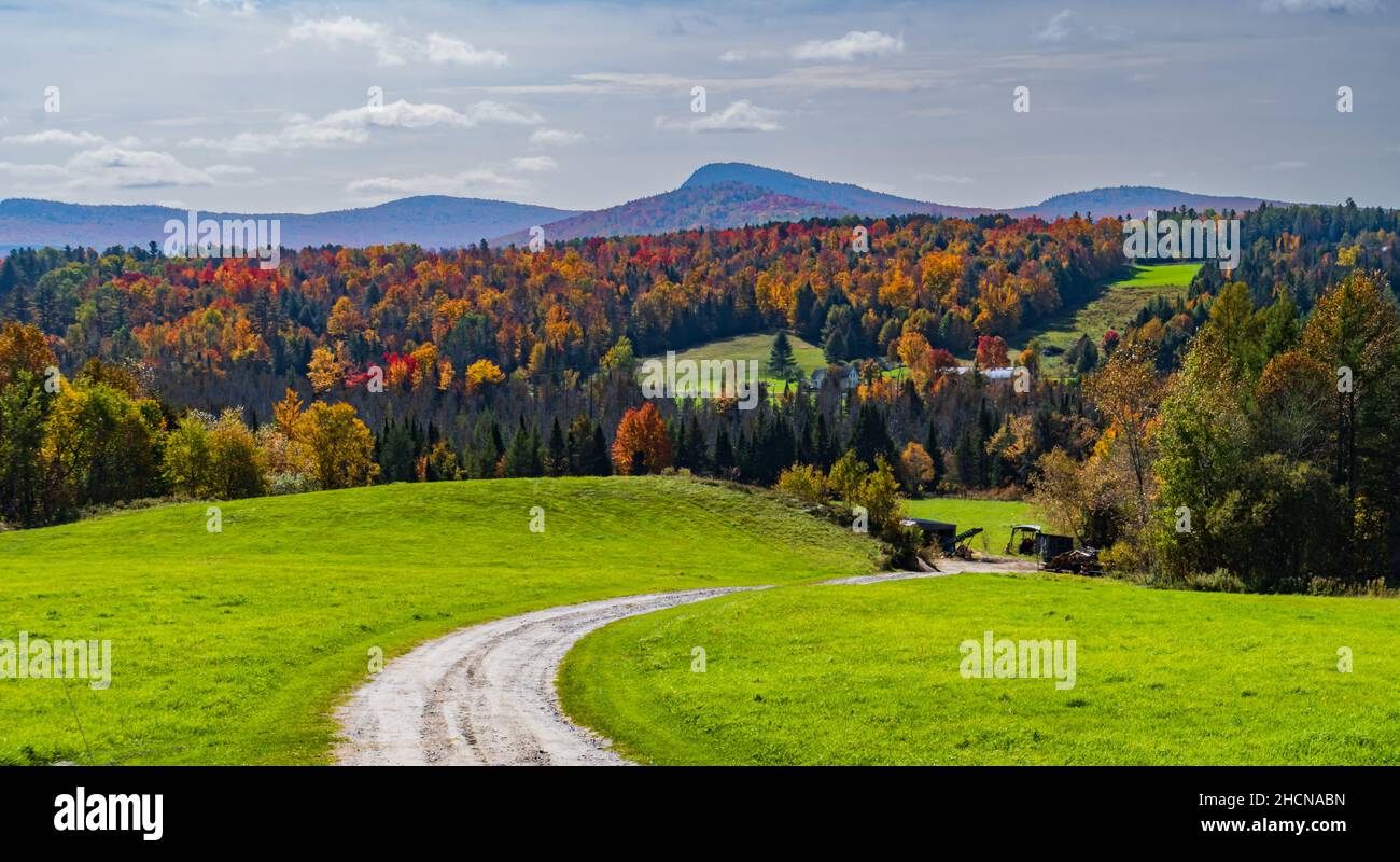 Evergreen trees in vermont hi-res stock photography and images - Alamy