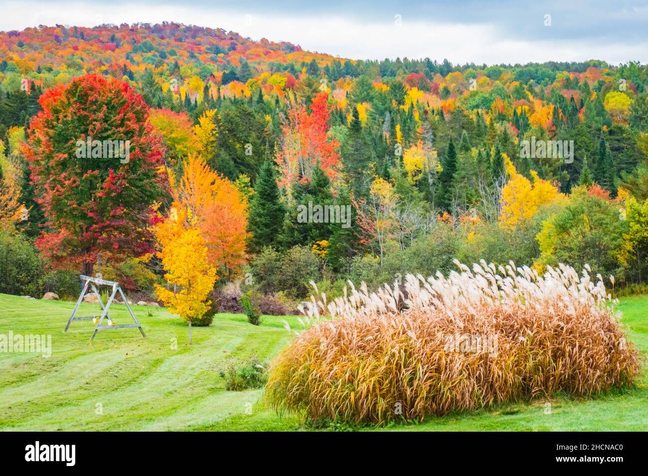 autumn foliage colors brighten up the landscape in the Vermont ...