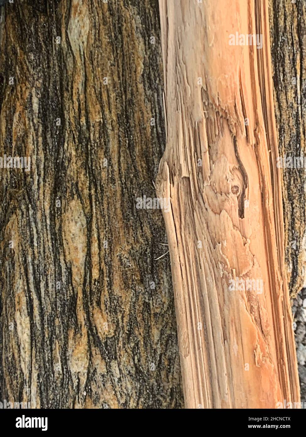 Moesa river in moesa hi-res stock photography and images - Alamy