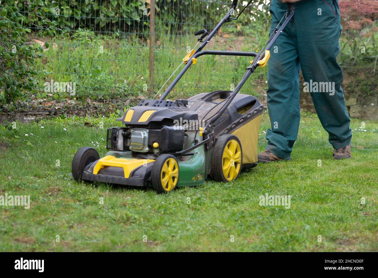 Man pushing lawnmower hi-res stock photography and images - Alamy