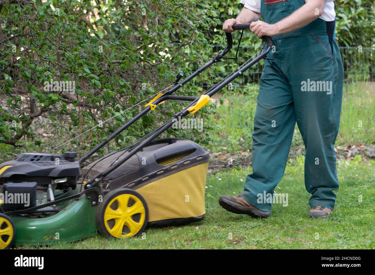 Low angle view of man pushing lawnmower through small backyard in ...
