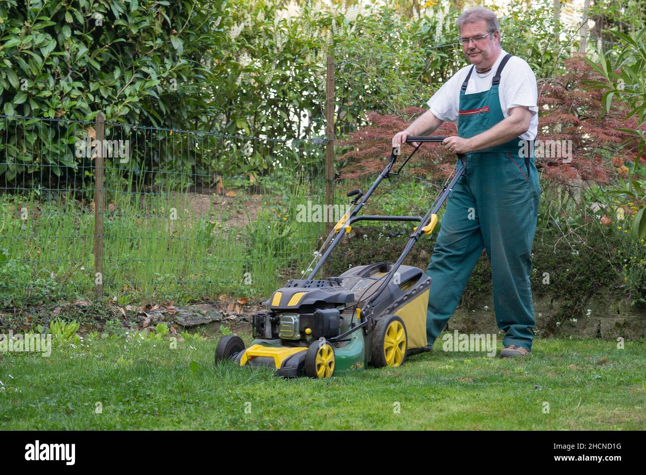 Man pushing lawnmower through small backyard in spring. Front view of ...