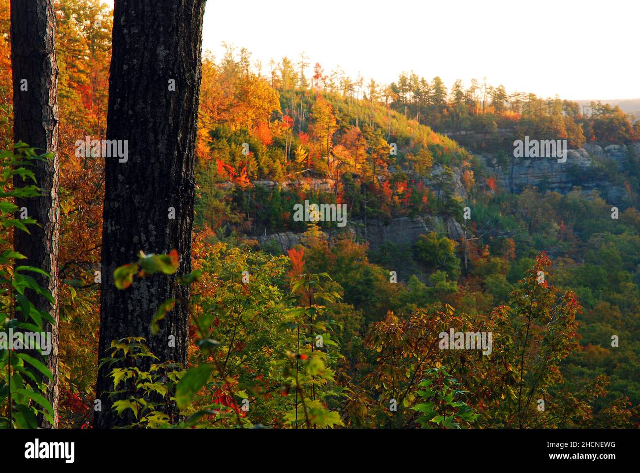 Red river gorge kentucky fall hi-res stock photography and images - Alamy