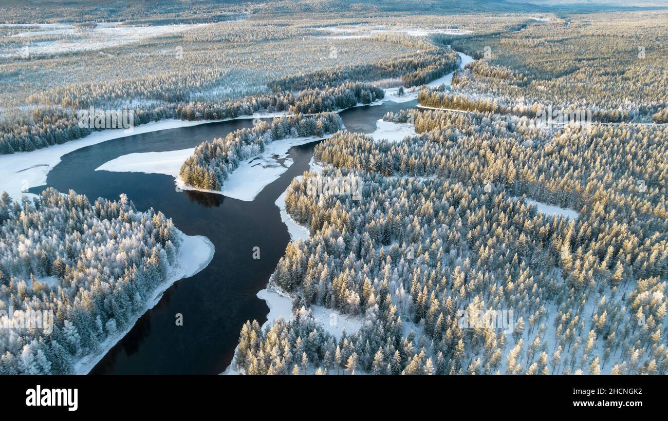 Aerial view of snowy winter forest with black river. Drone photography ...