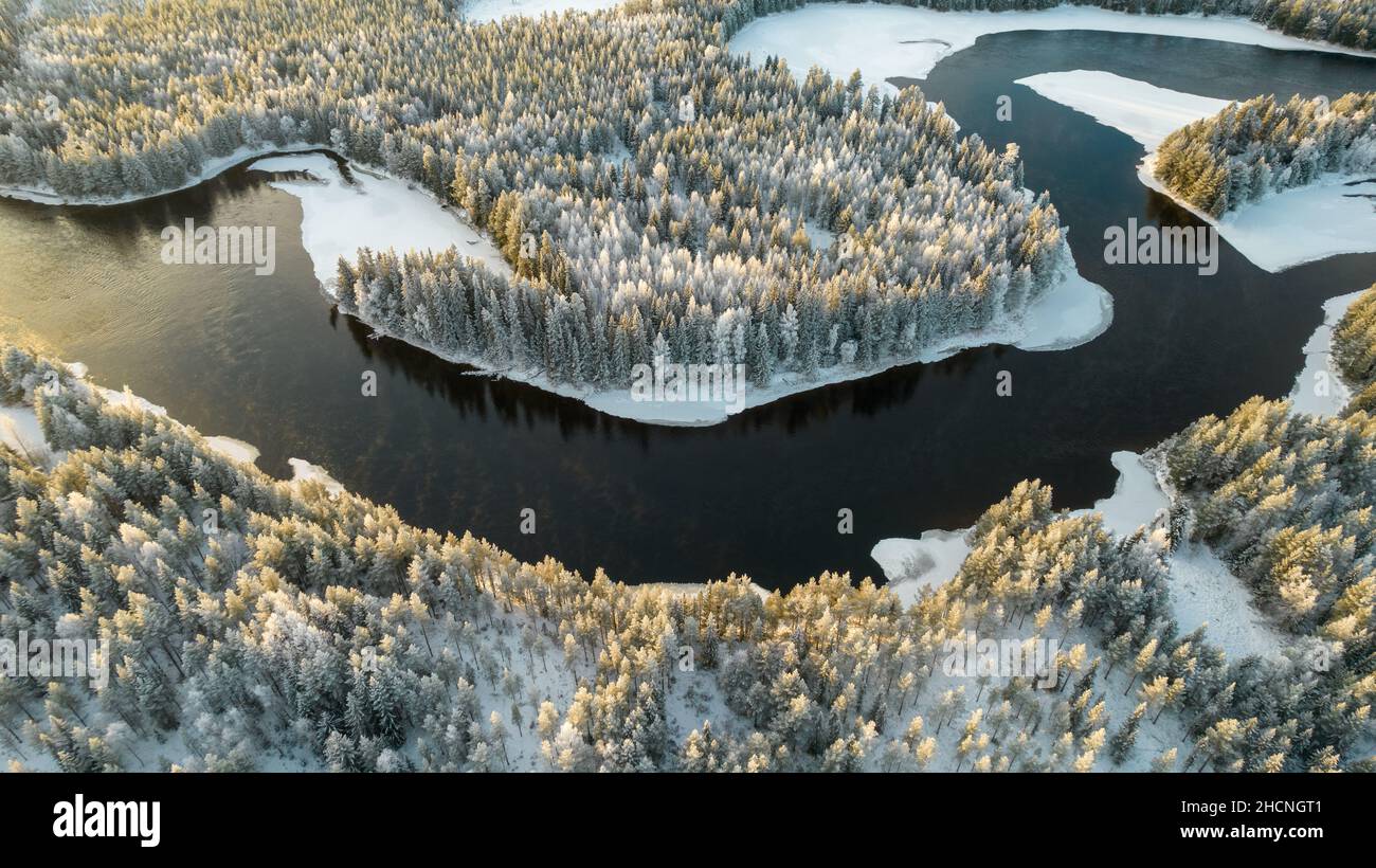 Aerial view of snowy winter forest with black river. Drone photography ...
