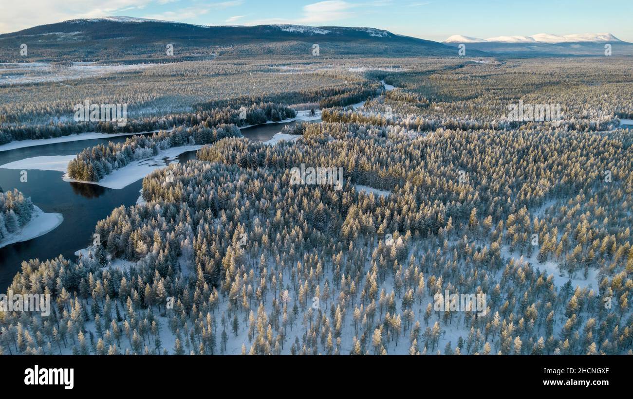 Aerial view of snowy winter forest with black river. Drone photography ...